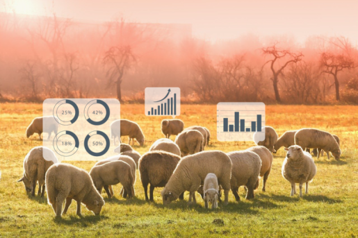 Il digitale per il benessere animale - LEO Italy | Livestock ...